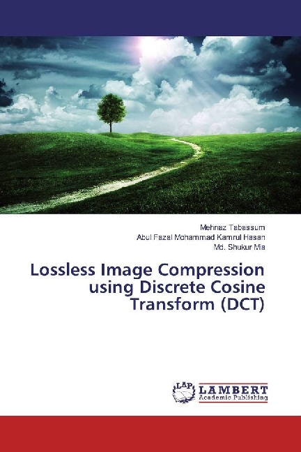 Lossless Image Compression using Discrete Cosine Transform (DCT) - Michaelsbund