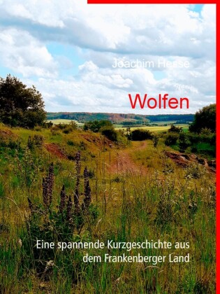 Wolfen von Joachim Hesse | ISBN 978-3-7526-4648-1 | E-Book online kaufen
