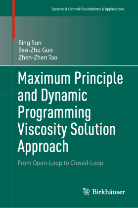 Maximum Principle and Dynamic Programming Viscosity Solution Approach ...